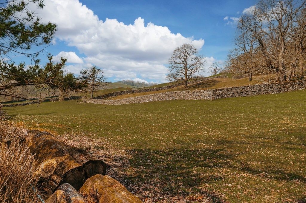 Dementia UK - Tarn & Fell Escapes - Charity Partner