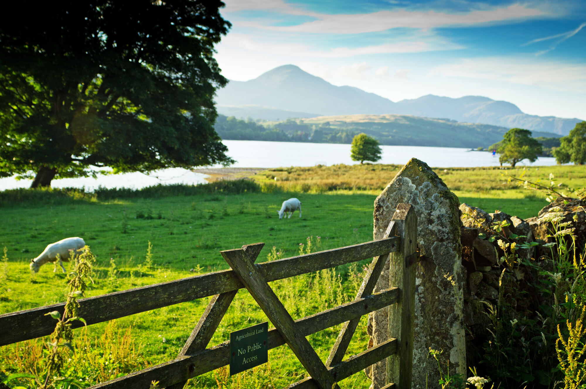 Special Offers - Tarn & Fell Escapes